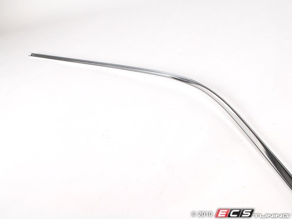 Genuine BMW - 51131839945 - Window Moulding - Left (51-13-1-839-945)