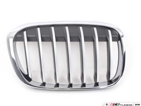 Genuine BMW - 51117383366 - Grille - Front - Right (51-11-7-383-366)