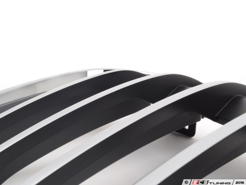 Genuine BMW - 51117383366 - Grille - Front - Right (51-11-7-383-366)