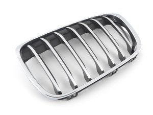 BMW F48 X1 xDrive28i B46 2.0L Grilles - ECS Tuning