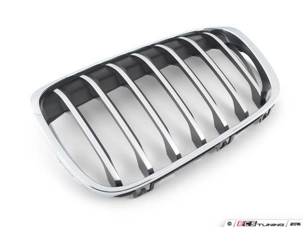 Genuine BMW - 51117383365 - Front Grill - Left - X Line (51-11-7-383-365)