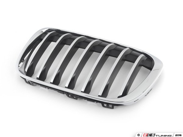 Genuine BMW - 51117383365 - Front Grill - Left - X Line (51-11-7-383-365)