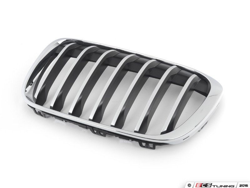 Genuine BMW - 51117383365 - Front Grill - Left - X Line (51-11-7-383-365)