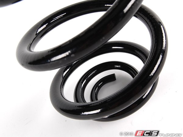 Genuine BMW - 33536756984 - Coil Spring - Priced Each (33-53-6-756-984)