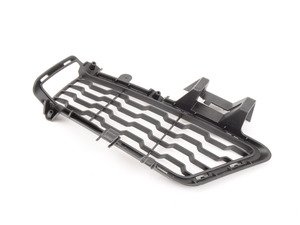 BMW Front Bumper Grilles - Page 3 - ECS Tuning