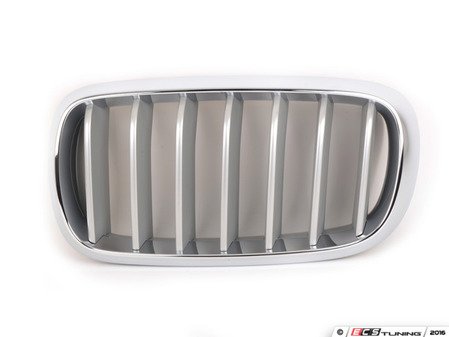 Genuine BMW - 51117303107 - F15 Front grille - left (51-11-7-303-107)