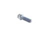 Genuine BMW - 07129902813 - Torx Screw (07-12-9-902-813)