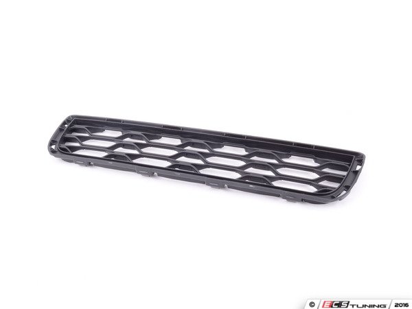 Genuine BMW - 51117360738 - GRID, CENTER - (NO LONGER AVAILABLE) (51-11 ...