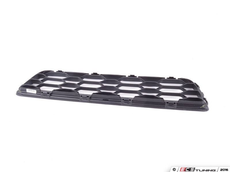 Genuine BMW - 51117360738 - GRID, CENTER - (NO LONGER AVAILABLE) (51-11 ...