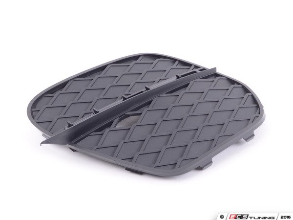 Genuine BMW - 51117222859 - Closed Grille - Left (51-11-7-222-859)