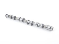 AMC - 06F109102E - Exhaust Camshaft - (NO LONGER AVAILABLE)