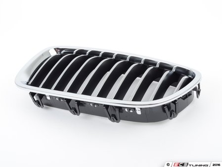 Genuine BMW - 51137412323 - F10 Grille (51-13-7-412-323)