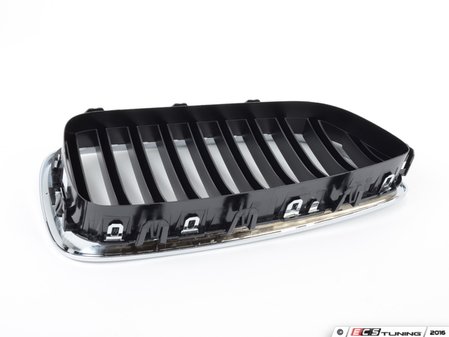 Genuine BMW - 51137412323 - F10 Grille (51-13-7-412-323)
