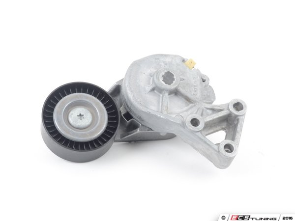 Ina - 038903315AE - Accessory Belt Tensioner