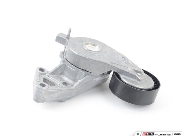 Ina - 038903315AE - Accessory Belt Tensioner