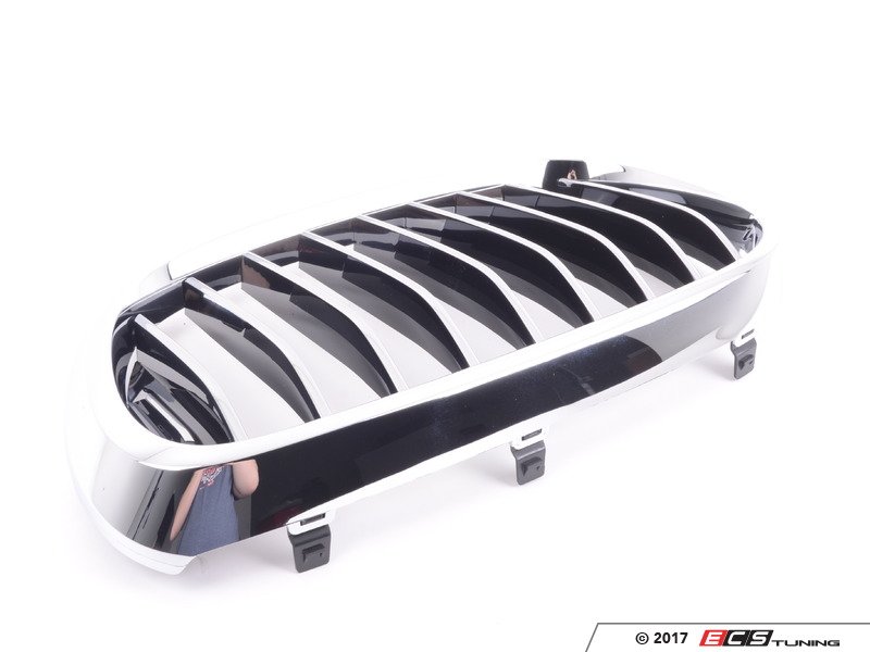 Genuine BMW - 51137357011 - Front Grill - Left - Basis (51-13-7-357-011)