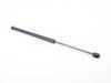 Genuine MINI - 51249801386 - Hatch Strut - Priced Each (51-24-9-801-386)