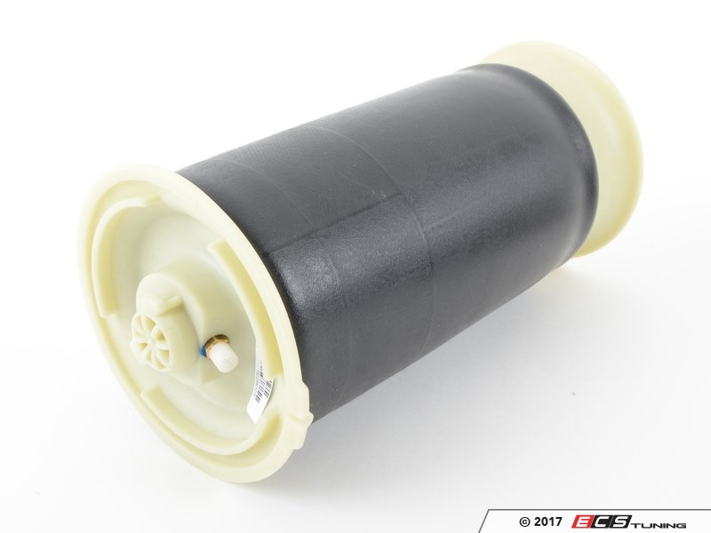 Arnott - 37126790081 - Rear Air Spring