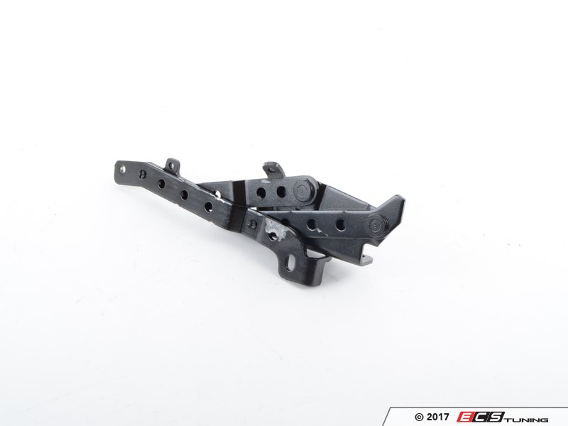 Genuine BMW - 41618398666 - HINGE RIGHT (41-61-8-398-666)